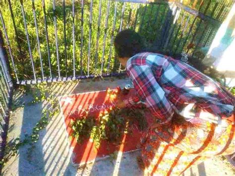 ဆားလင်းကြီးတွင် အားမာန်သစ်သပိတ်စစ်ကြောင်းချီတက်၍ စစ်တပ်အလိုမရှိ ဆန္ဒပြ Khit Thit Media