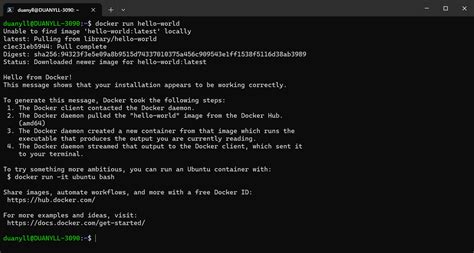 基于 wsl2 和 docker 的深度学习环境指北 duanyll