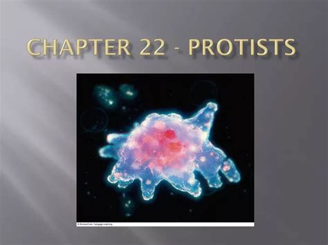 PPT Chapter 22 Protists PowerPoint Presentation Free Download ID 2189635
