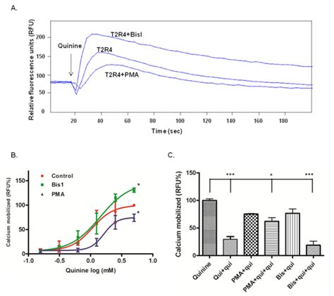38 Effect Of Pkc Activator And Inhibitor On Quinine Mediated T2r4