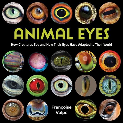 Animal Eyes Nhbs Good Reads