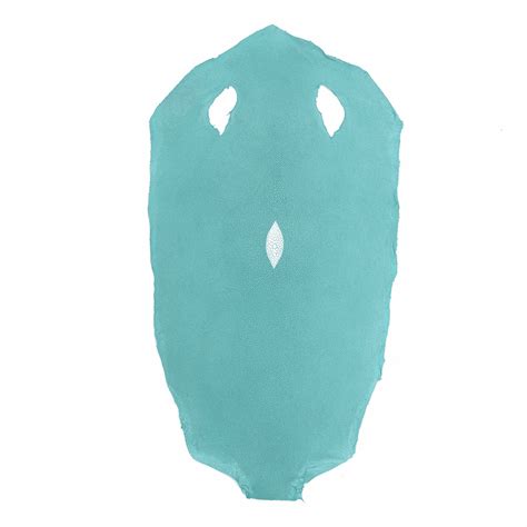 Couro De Arraia Dasyatis Spp Turquesa 10 Taia