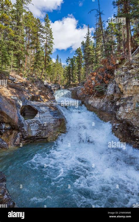 Beautiful Stream With Waterfalls In Dense Forest Beauty Creek