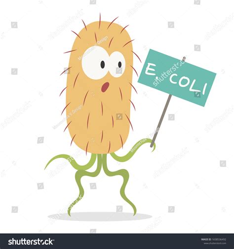 흰색 배경에 분리된 Eschericia Coli 셀 스톡 벡터 로열티 프리 1658536492 Shutterstock