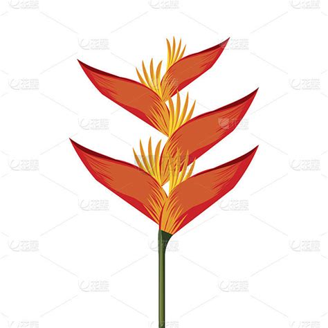 热带花朵图标