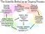 2 1 Psychologists Use The Scientific Method To Guide Their Research