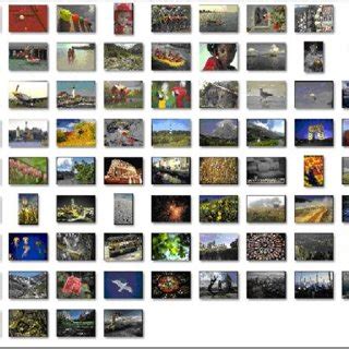 DVMark A Deep Multiscale Framework For Video Watermarking Request PDF