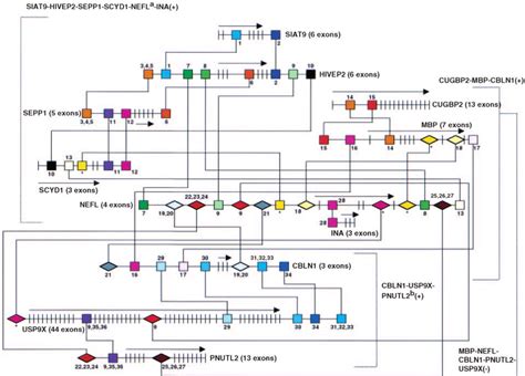 Putative Regulatory Elements Shared Between Groups Of Correlated And