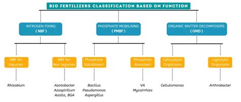 Complete Guide To Types Of Fertilizers Their Classification 56 Off