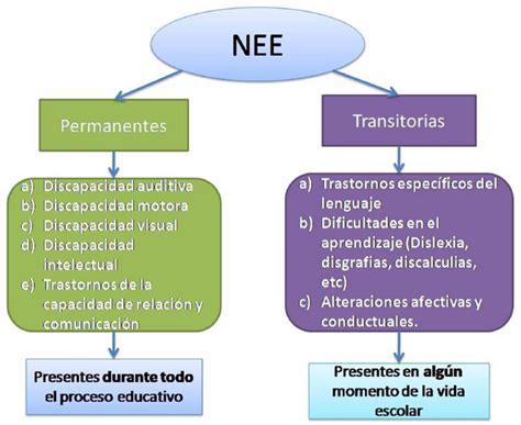 Rol Del Educador Diferencial Julio 2013
