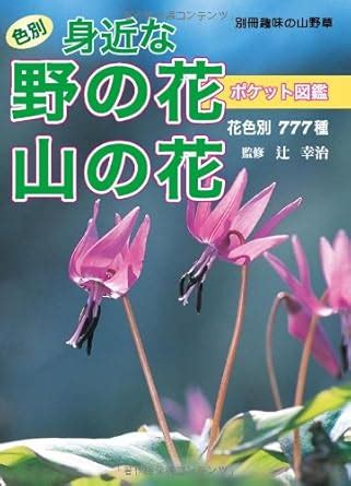 Amazon Sg Books