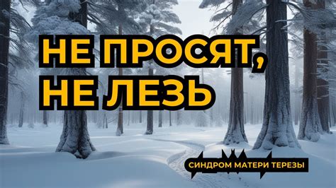 НЕ ПРОСЯТ НЕ ЛЕЗЬ Мудрость Невмешательства Youtube