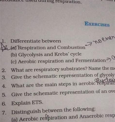 EXERCISES1 Differentiate Between A Respiration And Combustion 7 Noeme