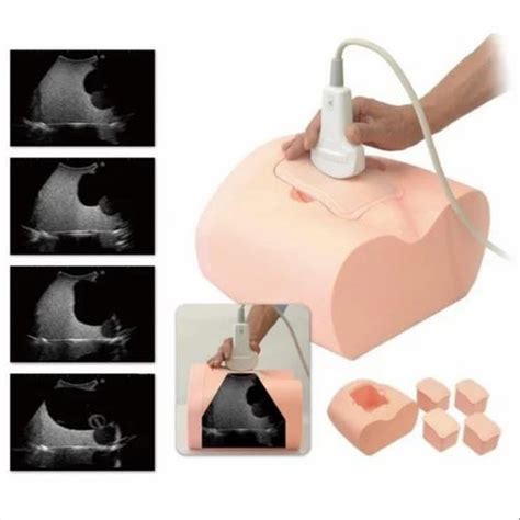 Urine Volume Measurement Training Simulator For Bladder Scanners Only For Hospital Model Name