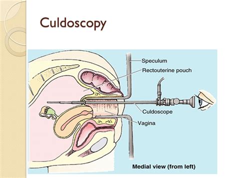Windsor University School Of Medicine Ppt Video Online Download