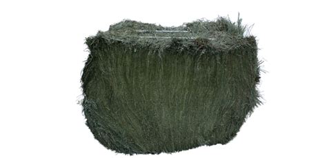 Orchard Grass Hay Stocked Product 2841 Per 61lb Bale 930 Per Ton