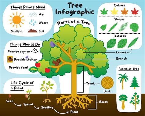Premium Vector Tree Infographic Vector Illustration