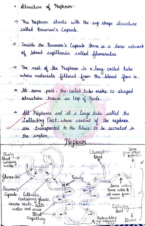 Solution Notes Part 2 Diagrams Studypool