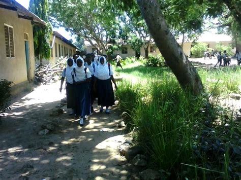 Empower Tanzanian Girls Through Education Globalgiving