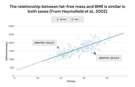 The Impact Of Sex On Basal Metabolic Rate Macrofactor
