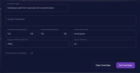 Setup Runpod And Dolphin 25