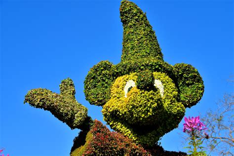 Fantasia Mickey Topiary At Future World West At Epcot In Orlando Florida Encircle Photos
