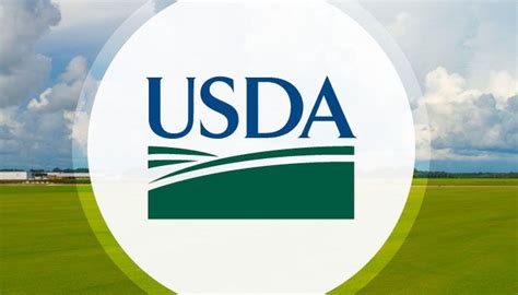 Usda Forecasts Record Smashing Corn Production