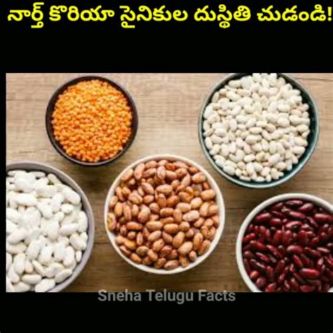 నార్త్ కొరియా సైనికుల కష్టాలు మామూలుగా ఉండవు Shorts Youtube