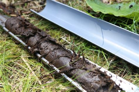 탄소 세기의 과학 [남종영의 인간의 그늘에서] 네이트 뉴스