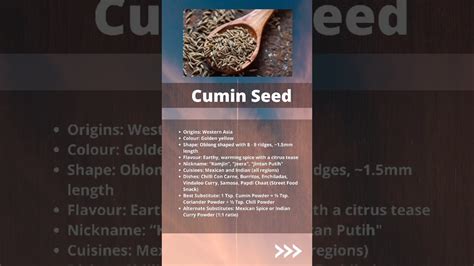 Cumin Seeds Vs Fennel Seeds The Kitchen Community
