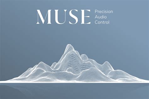 roon labs llc presents roon muse precision audio control for roon arc
