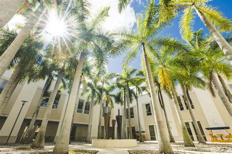 Fiu College Of Arts Sciences And Education