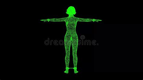 3D Naked Female Body In BDSM Outfit On Black Bg BDSM Accessory Nipple