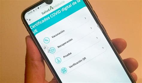 Habilitado Un Lector QR Para Verificar Los Certificados Covid19