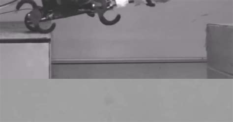 A Robot Cockroach Thats Both Creepy And Educational Video Cnet