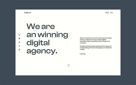Best D Transforms Webflow Templates In