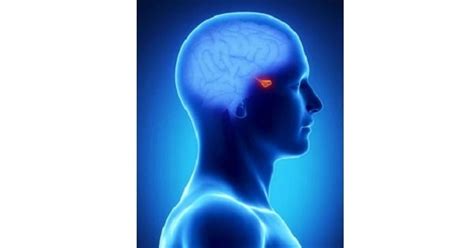 Hyperprolactinemia New