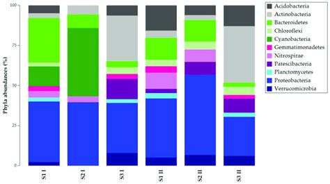 Taxonomy Bar Plot Of Asvs Amplicon Sequence Variants At The Phylum