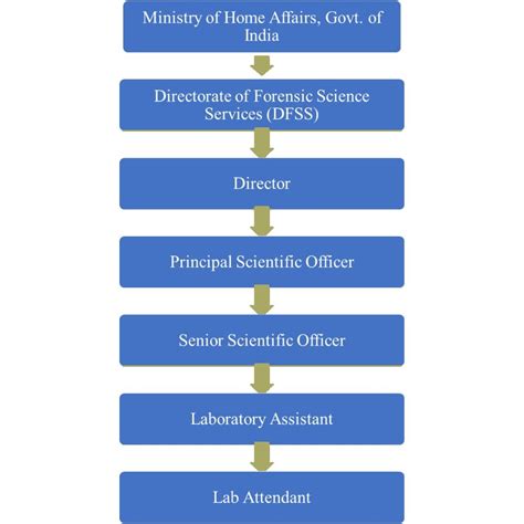 Hierarchy NATIONAL MUSEUM OF FORENSIC SCIENCE