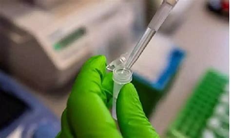 Iit R Identifies New Antibacterial Molecule To Fight Superbugs