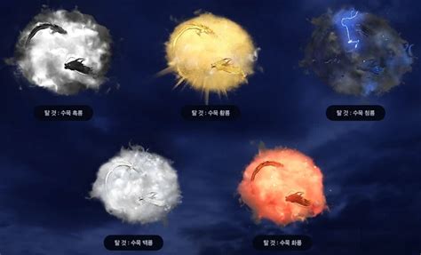 2024년 로아 설빔한복 용의 아바타 패키지 미리보기 코코나무