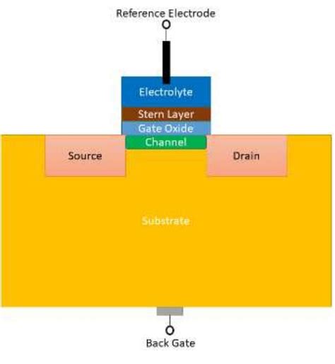 Schematic Structure Of Isfet The Structure Of An Isfet