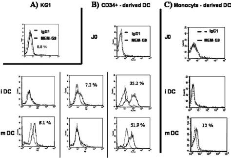 Analysis Of Hla G Cell Surface Expression Using Flow Cytometry In Kg1
