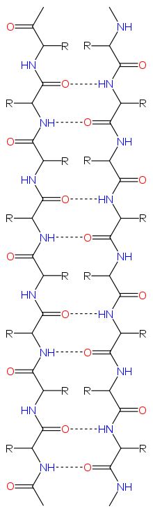 β Faltblatt