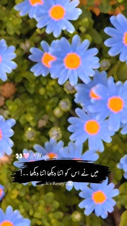 میں نے اُس کو اتنا دیکھا اتنا دیکھا۔پیر صاب نے کمال کا شیر پڑہا۔ Youtube