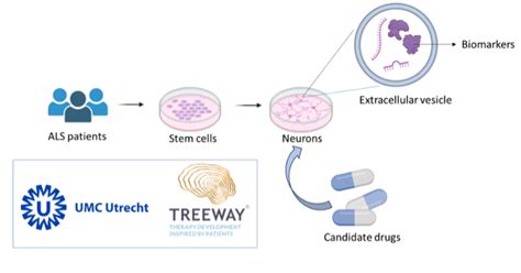 Message In A Package Characterizing Amyotrophic Lateral Sclerosis