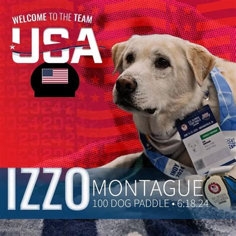 El perro de terapia del equipo de natación de EE UU se jubiló y fue nombrado miembro honorario