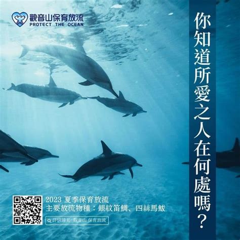 你知道所愛的人在何處嗎 — 觀音山保育放流