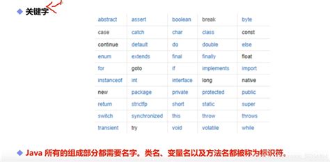 Java基础入门：语法、注释与类型详解 Csdn博客