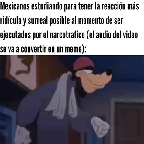 Quien Chota Se Muere Diciendo Ayayayayayay De Verdad No Puedo Creer Que Esos Videos Sean